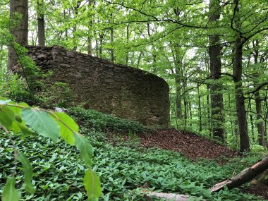 Ruine Burg Rodenberg | Rotenburg